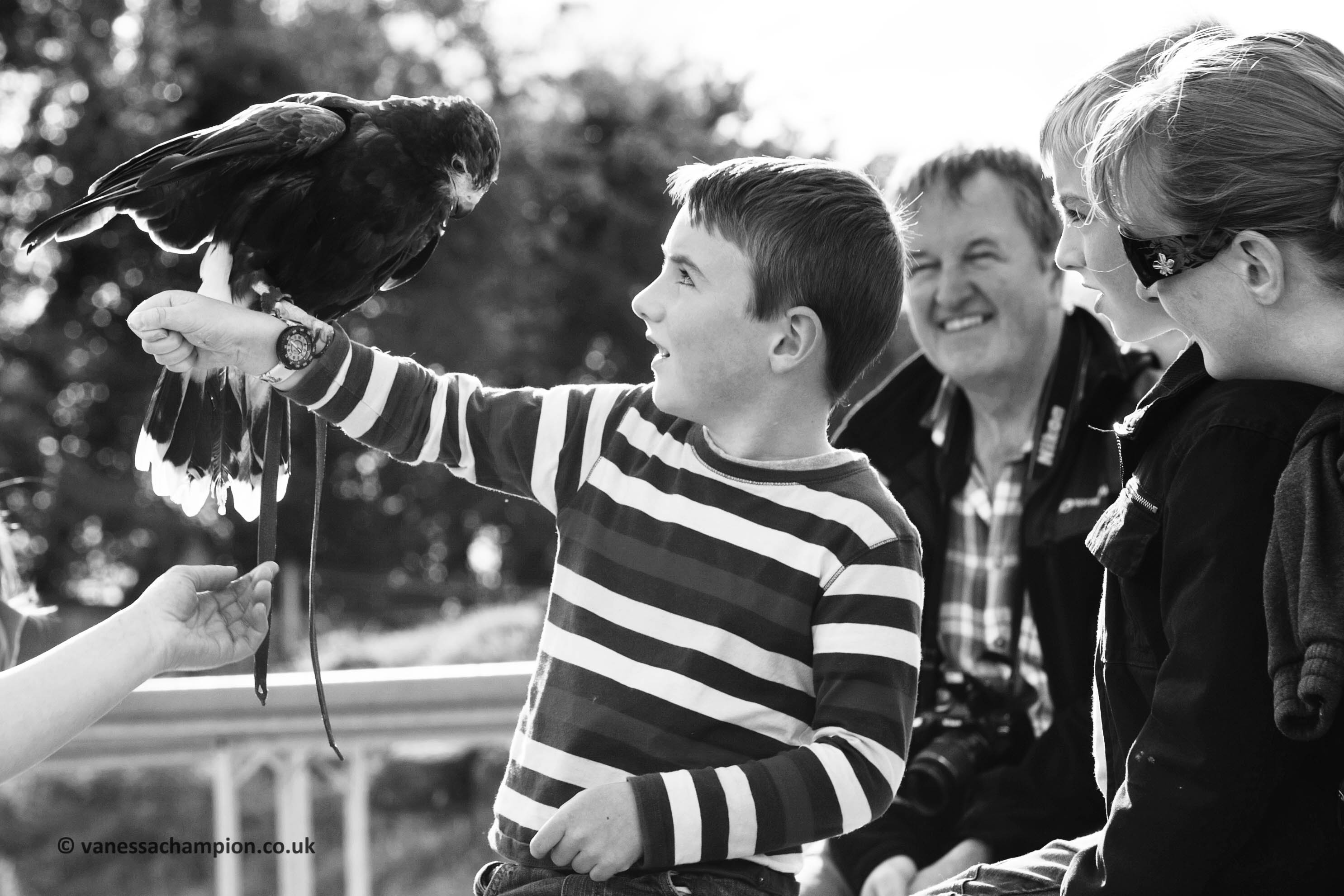 Irish Raptor Research Centre copyright Vanessa Champion (15) – Vanessa ...